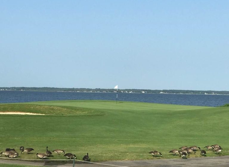Outer Banks Golf Trip | New England dot Golf
