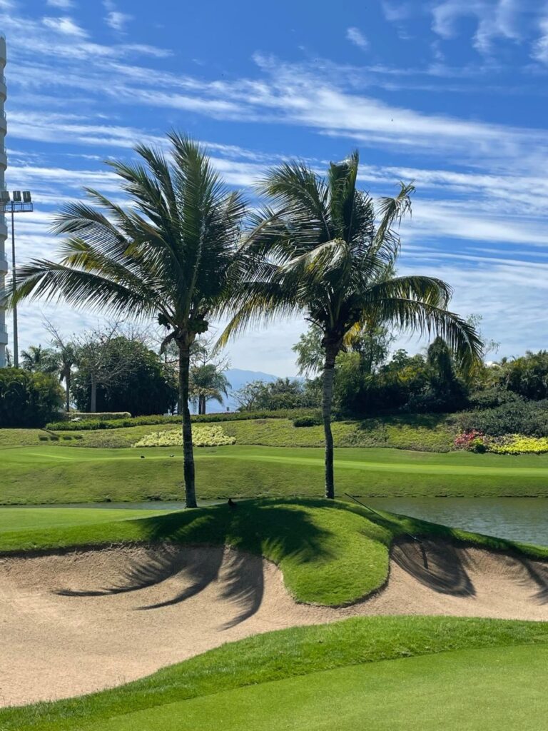 Vidanta Puerta Vallarta Resort | New England dot Golf